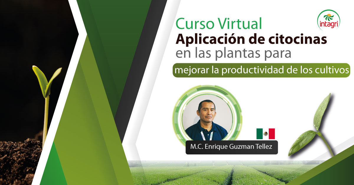 Curso Virtual Aplicación de Citocininas en las Plantas para mejorar la Productividad de los ...